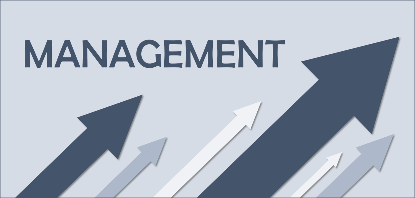 Management – Bewick Consulting